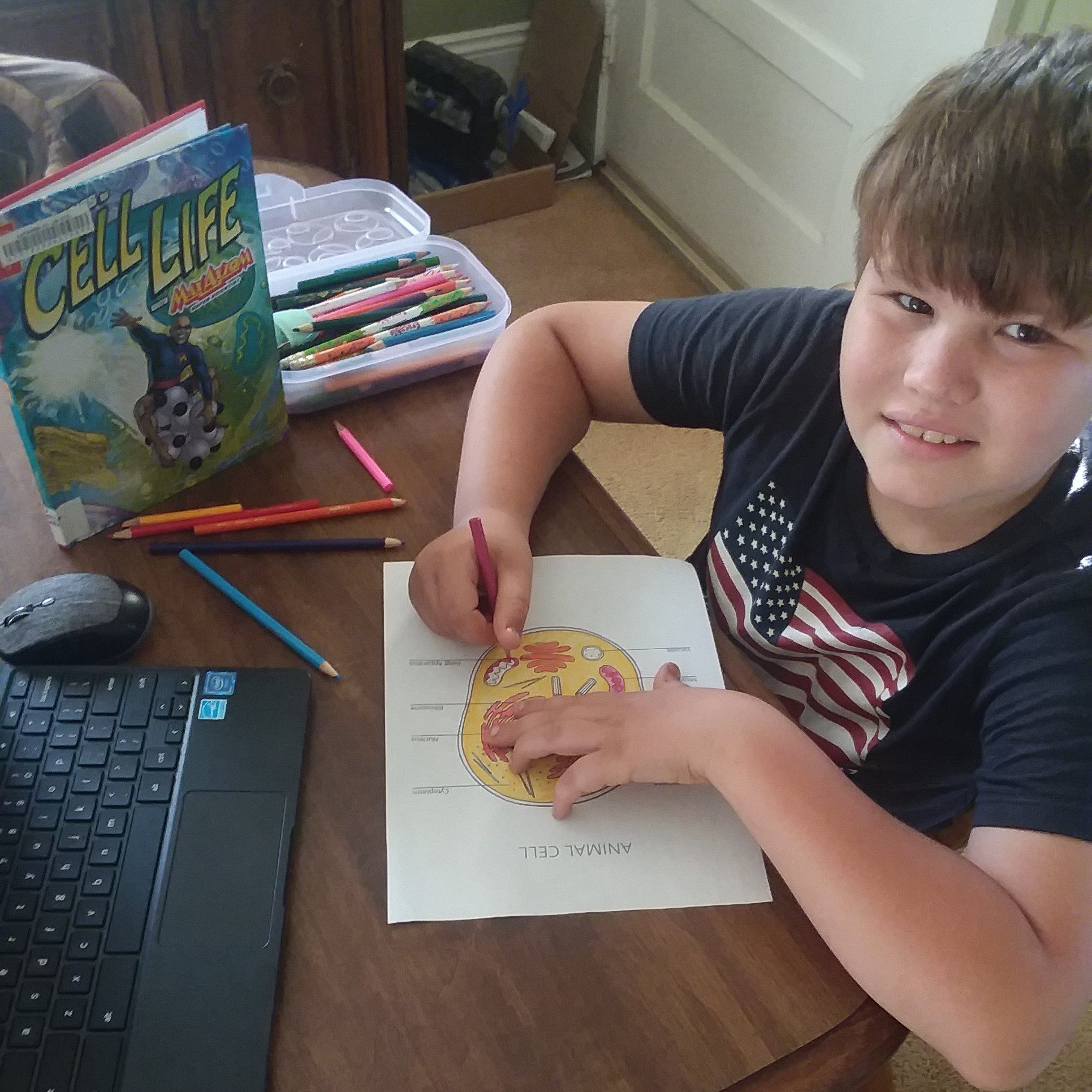 Online Christian Homeschool Science Curriculum & Video Courses ...