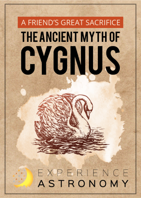 A Friend's Great Sacrifice: The Ancient Myth of Cygnus - Journey ...