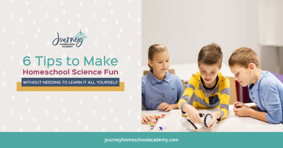 6 Tips To Make Homeschool Science Fun (Without Needing To Learn It All ...