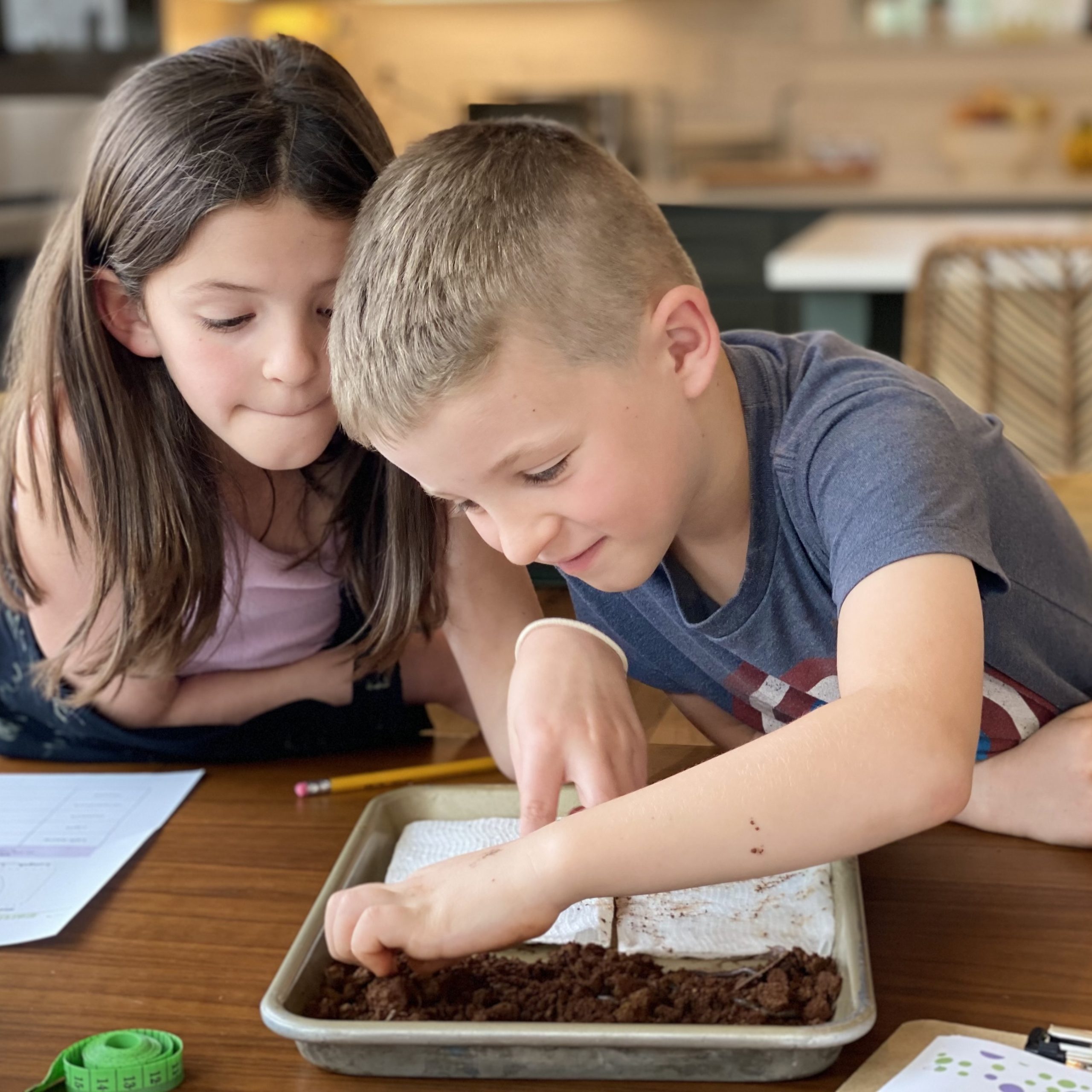 Online Christian Homeschool Science Curriculum & Video Courses ...