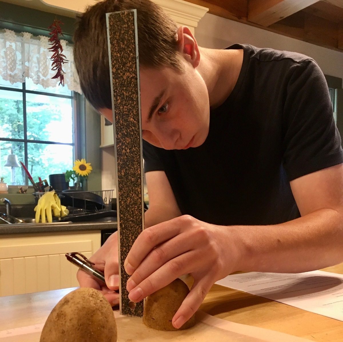 Online Christian Homeschool Science Curriculum & Video Courses ...