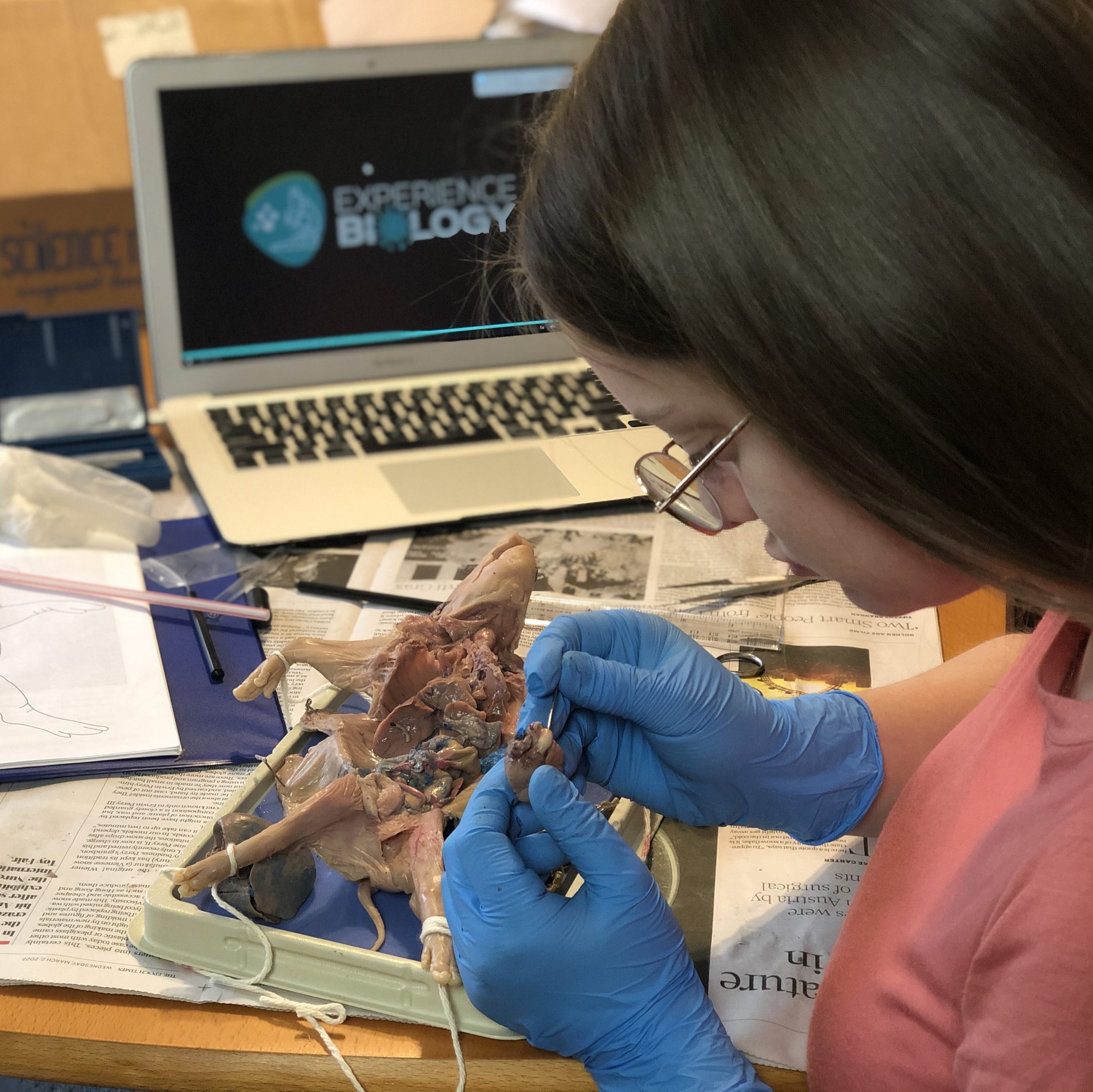 Online Christian Homeschool Science Curriculum & Video Courses ...