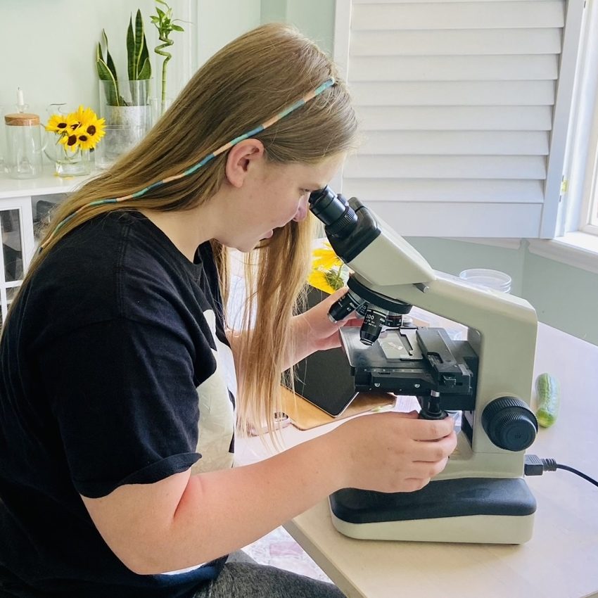 Online Christian Homeschool Science Curriculum & Video Courses ...