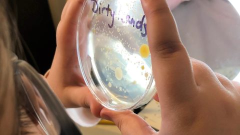 31 Fun Homeschool Science Experiments That Your Kids Will Love