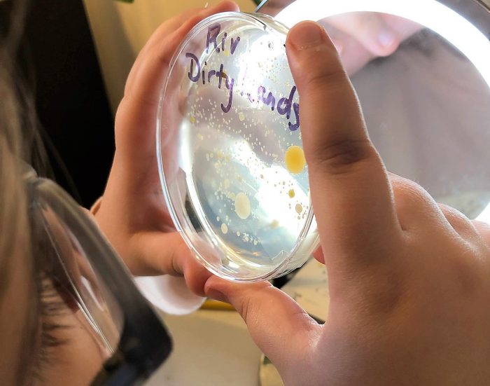 31 Fun Homeschool Science Experiments That Your Kids Will Love