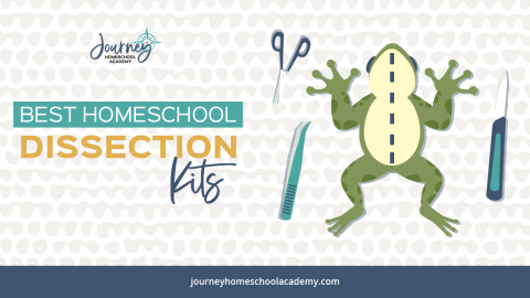 The Best Homeschool Dissection Kits