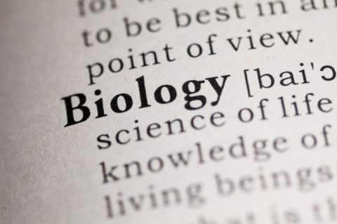 The Best Biology Books and Textbooks for High School Students