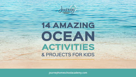 14 Amazing Ocean Activities and Projects for Kids