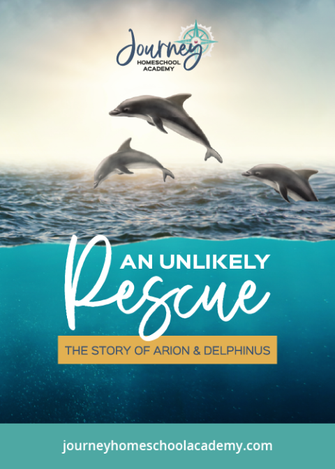 An Unlikely Rescue: The Story of Arion and Delphinus - Journey ...