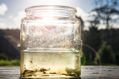 12 Hands-On Science Activities for Middle Schoolers: Inspiring a Love ...