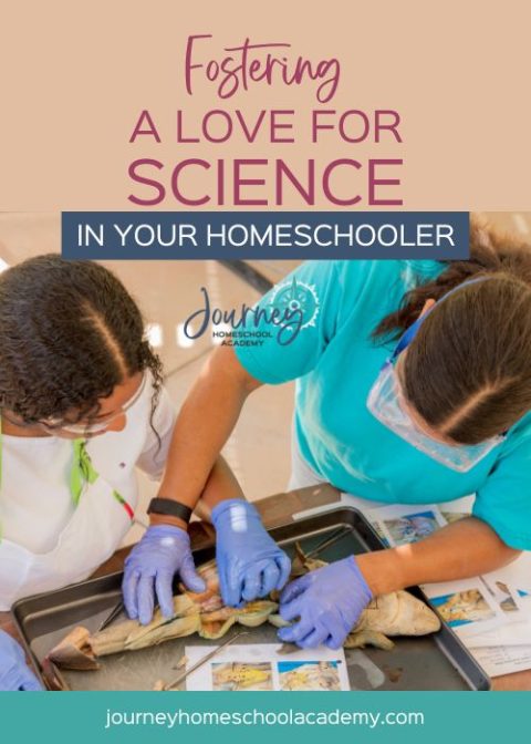 How to Foster a Love for Science in Your Homeschooled Child